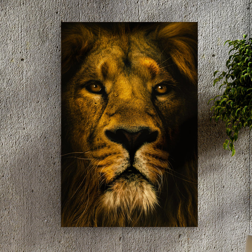 Lion Paintings On Canvas