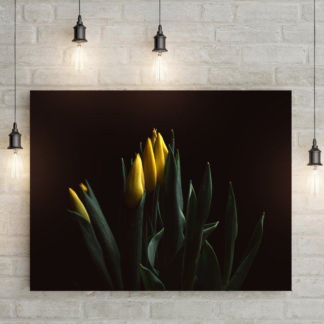 5 Creative Decorating Ideas for Tailored Canvases' Tulip Canvas Wall ...