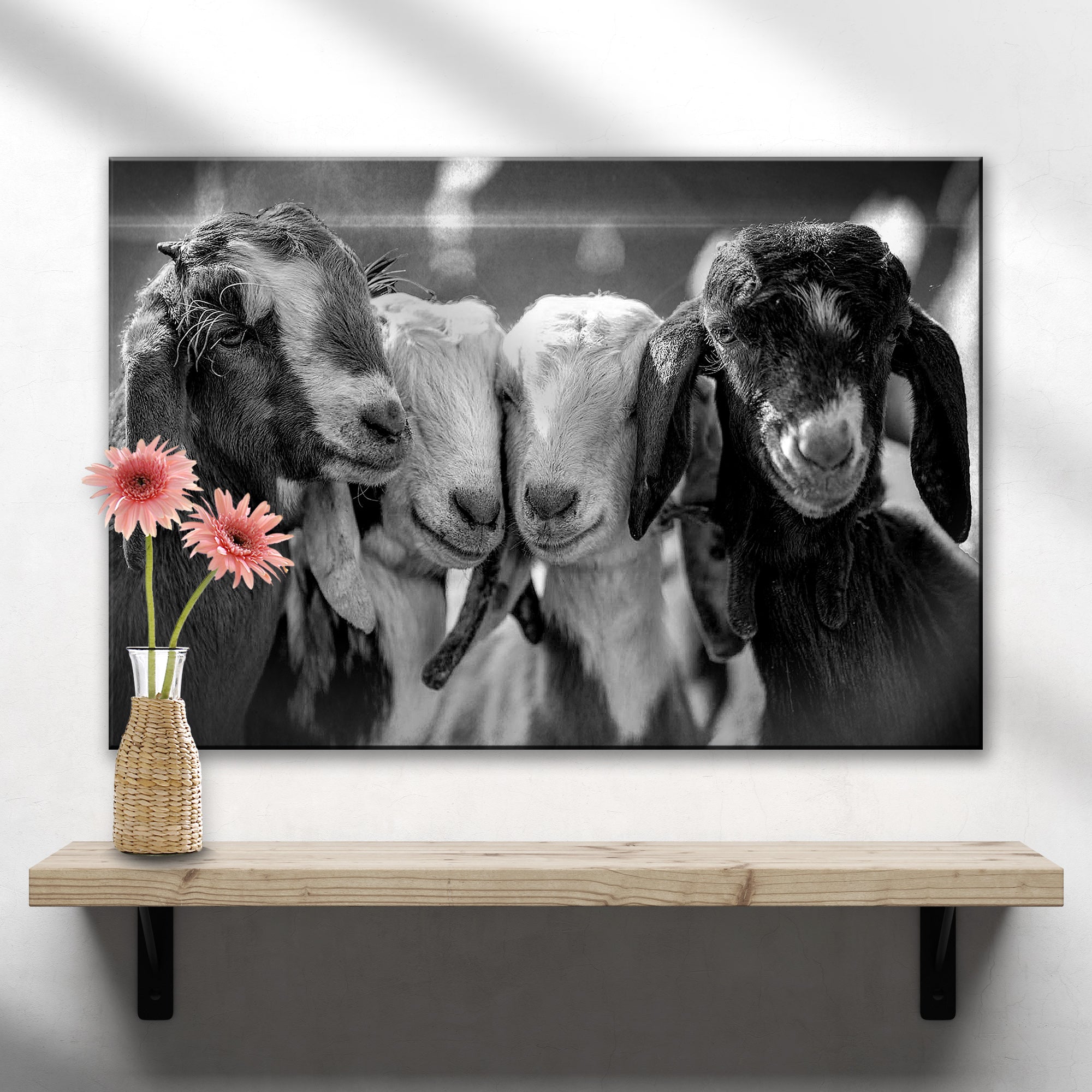 Black And White Baby Goats Canvas Wall Art – Tailored Canvases