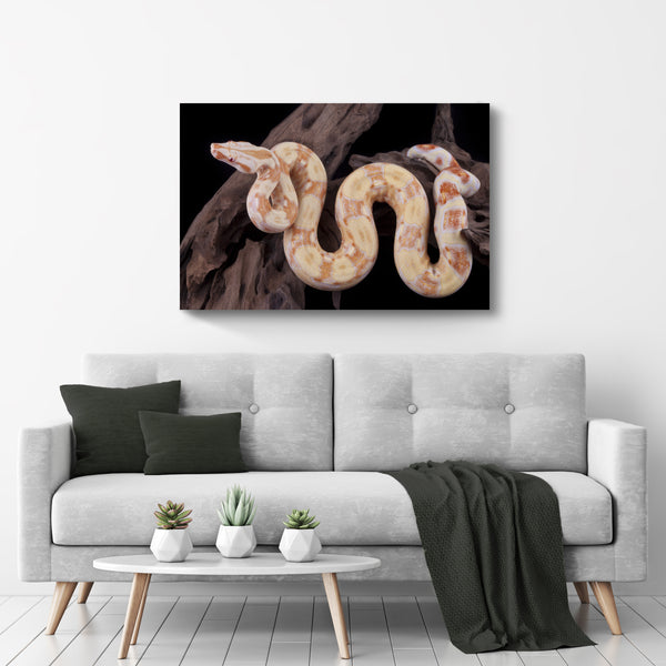 Snake Wall Art - Canvas Prints, Wall Decor & Signs | Tailored Canvases ...